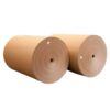 Products – Genus Paper & Boards Limited