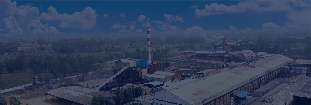 Genus Paper & Boards Limited – A Paper site